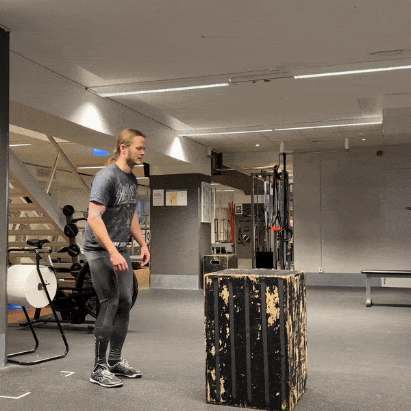 Box Jumps Muscles Worked