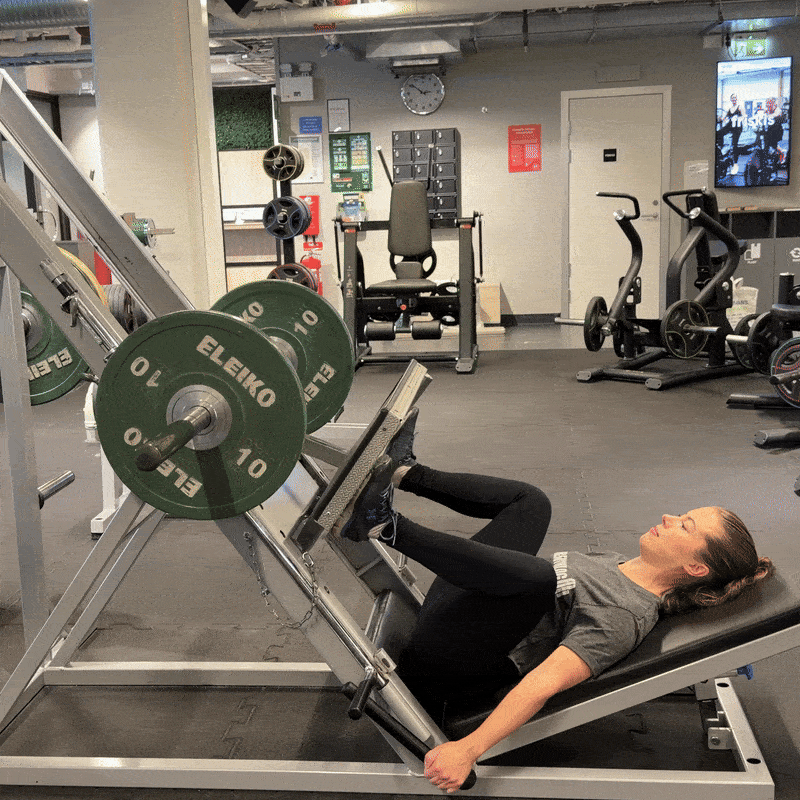 Leg Press Muscles Used